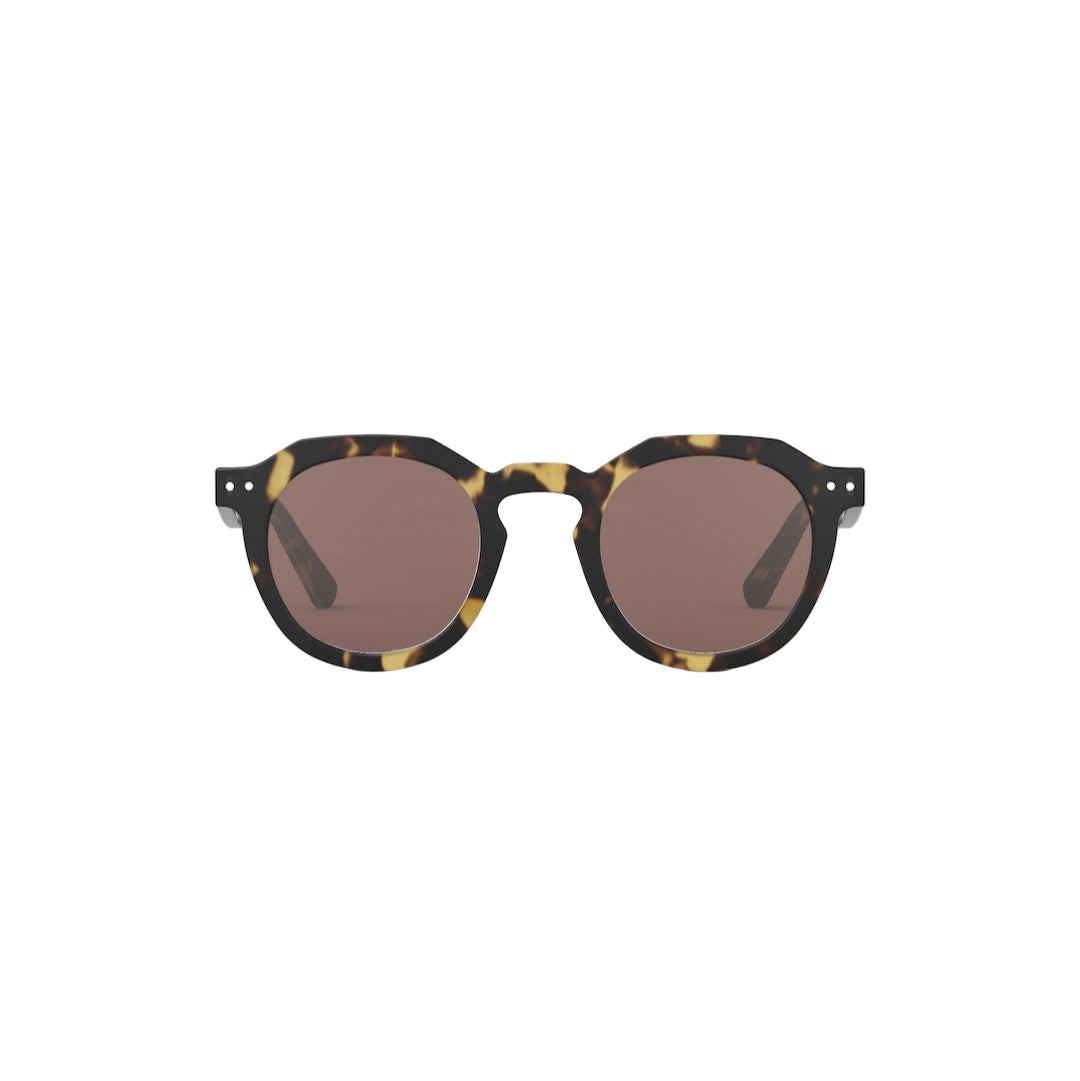 15-Anniversary - SUN ECHO Sepia Glow Sunglasses – kapok